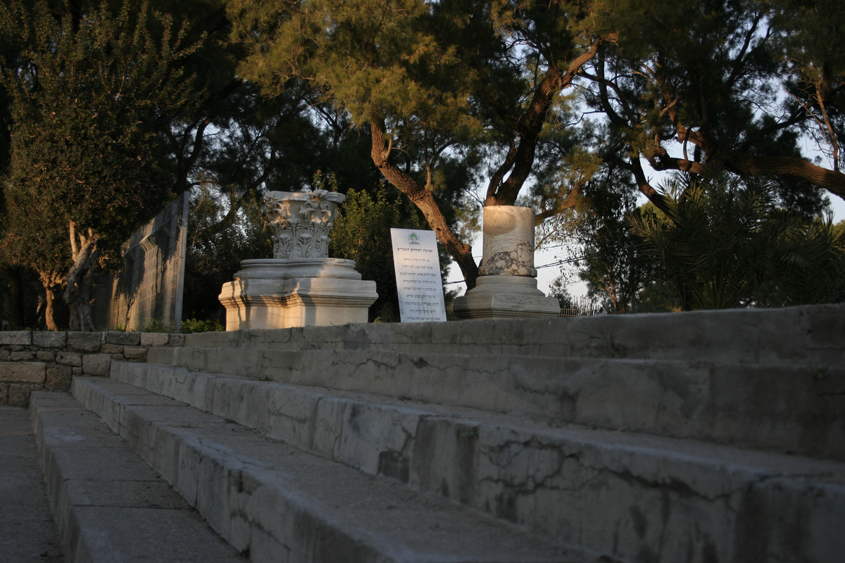 MG 4818 — Postimages