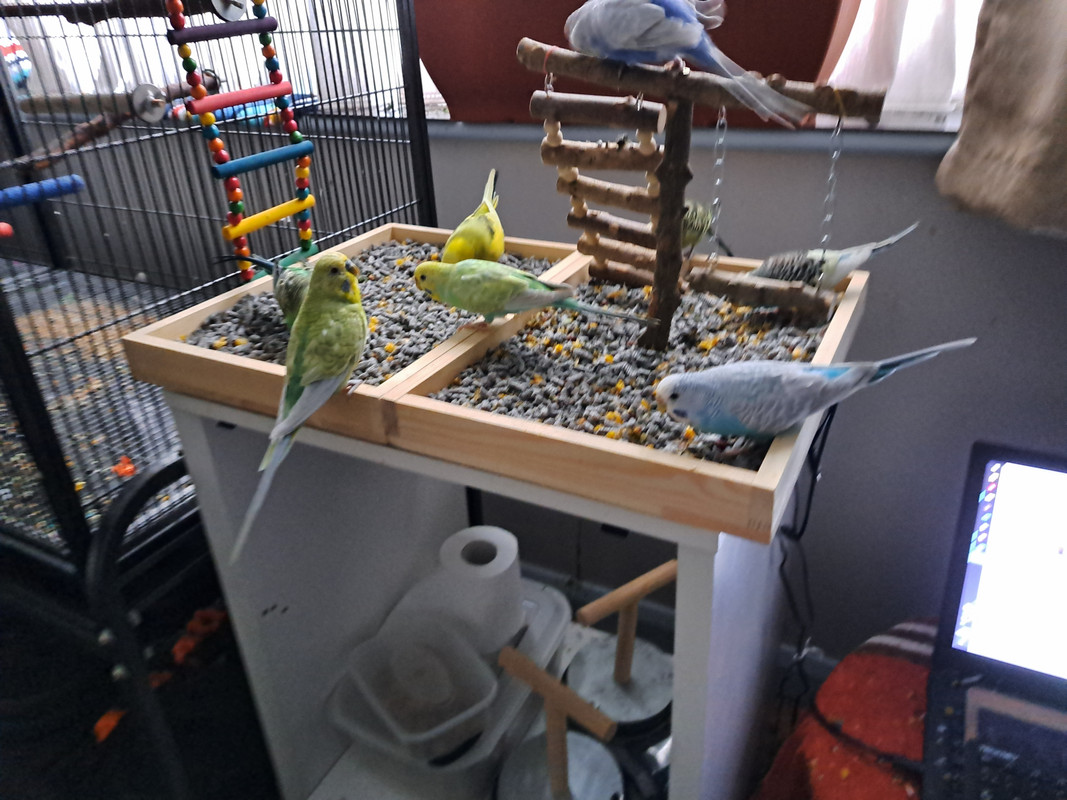 20231012 170600 — Postimages