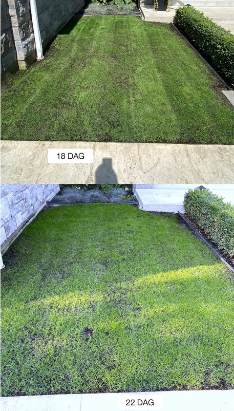 7 BB4 FC2 E E359 4911 BDCF DF2 ADE2 C222 B — Postimages