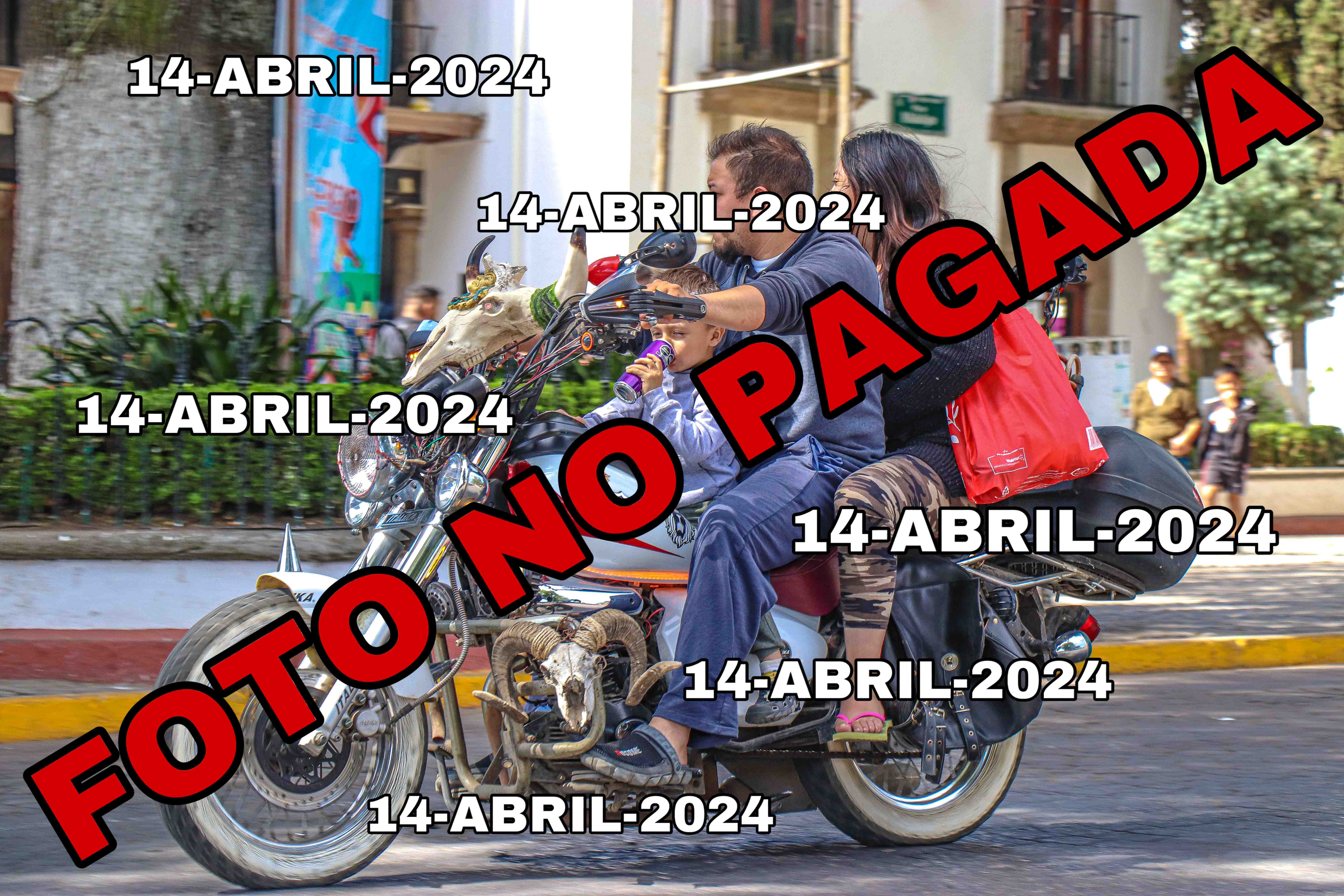 CV 141 — Postimages