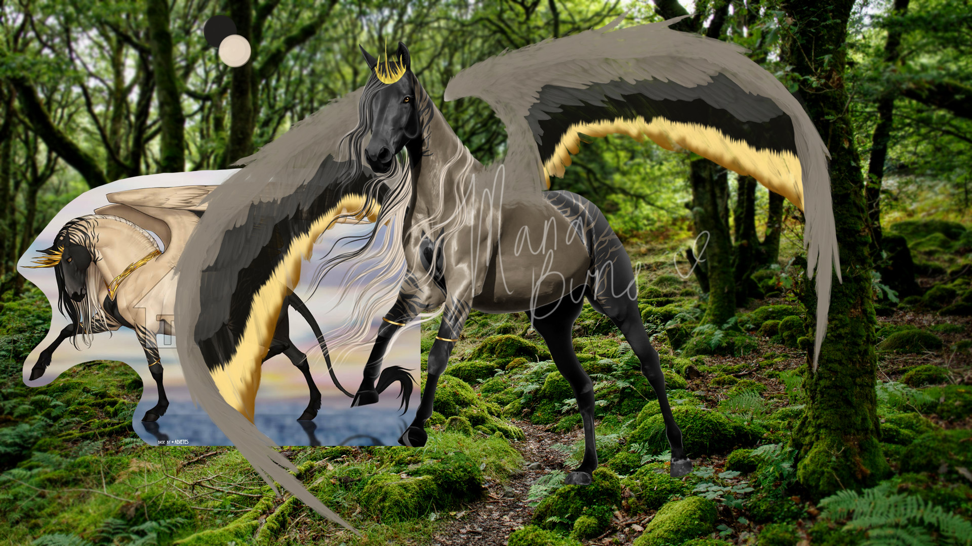 lost comm wip — Postimages