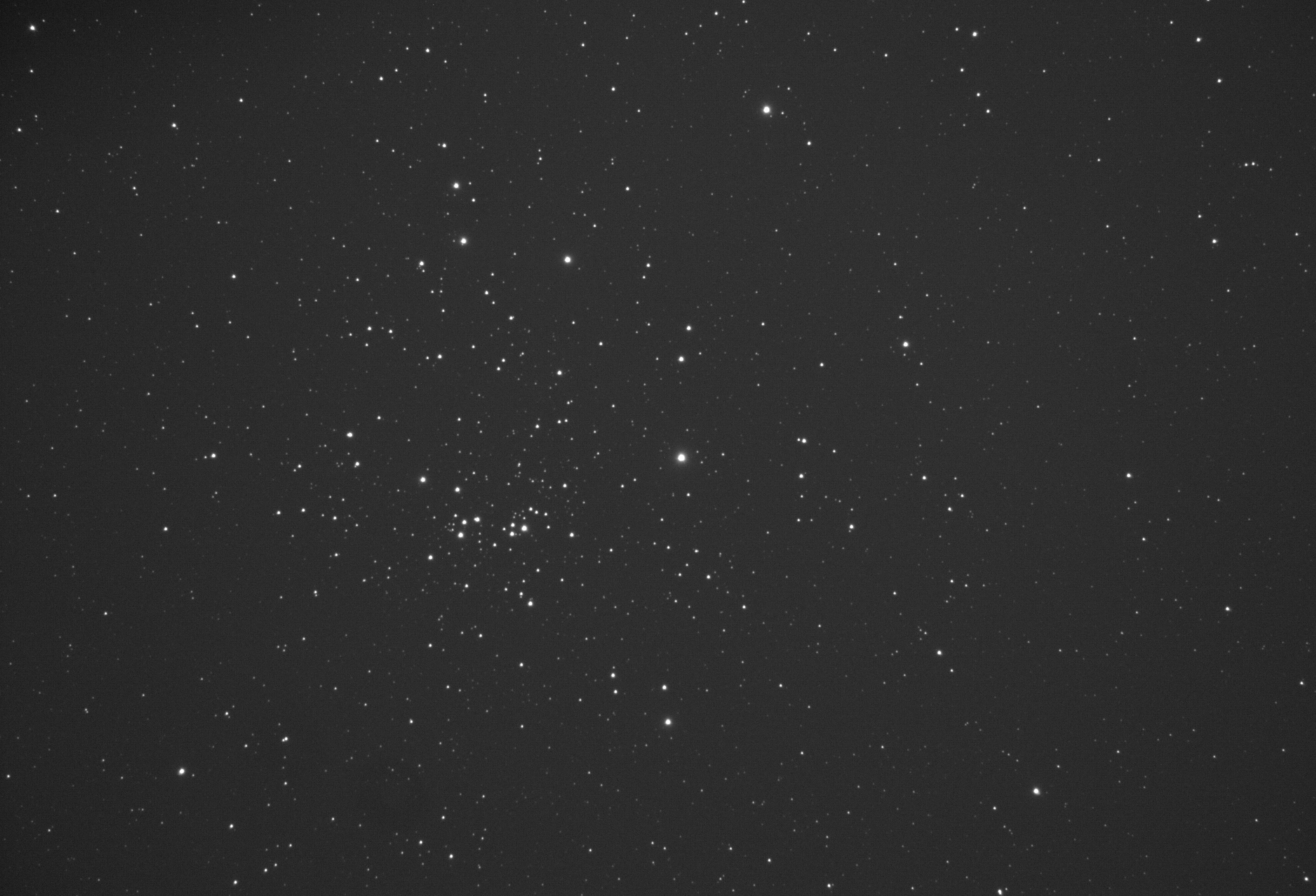 Elongated stars... Collimation? Backfocus? Tilt? No clue - Beginning ...