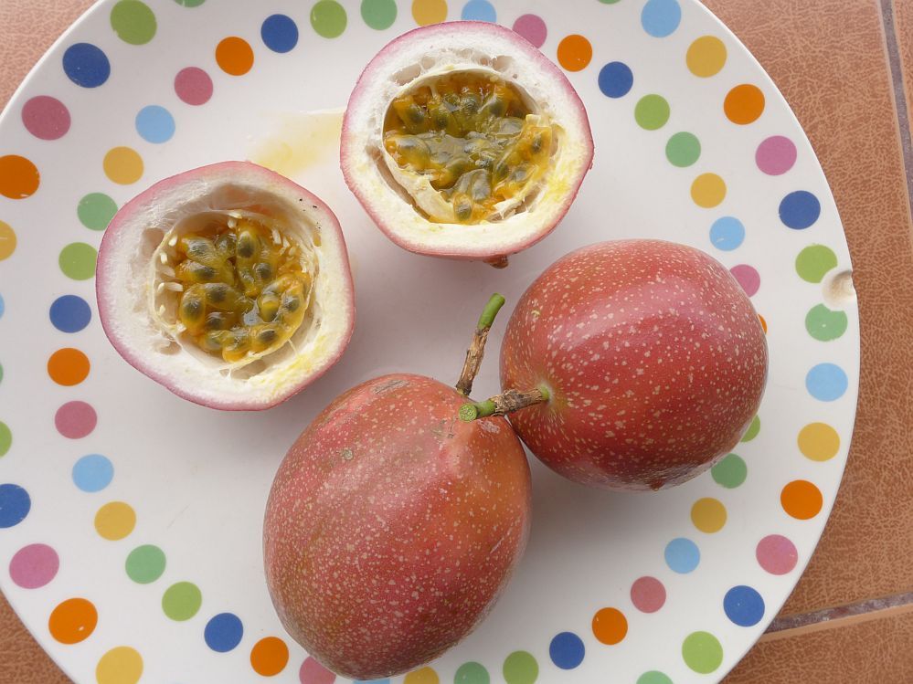 passionfruit hexagonal — Postimages