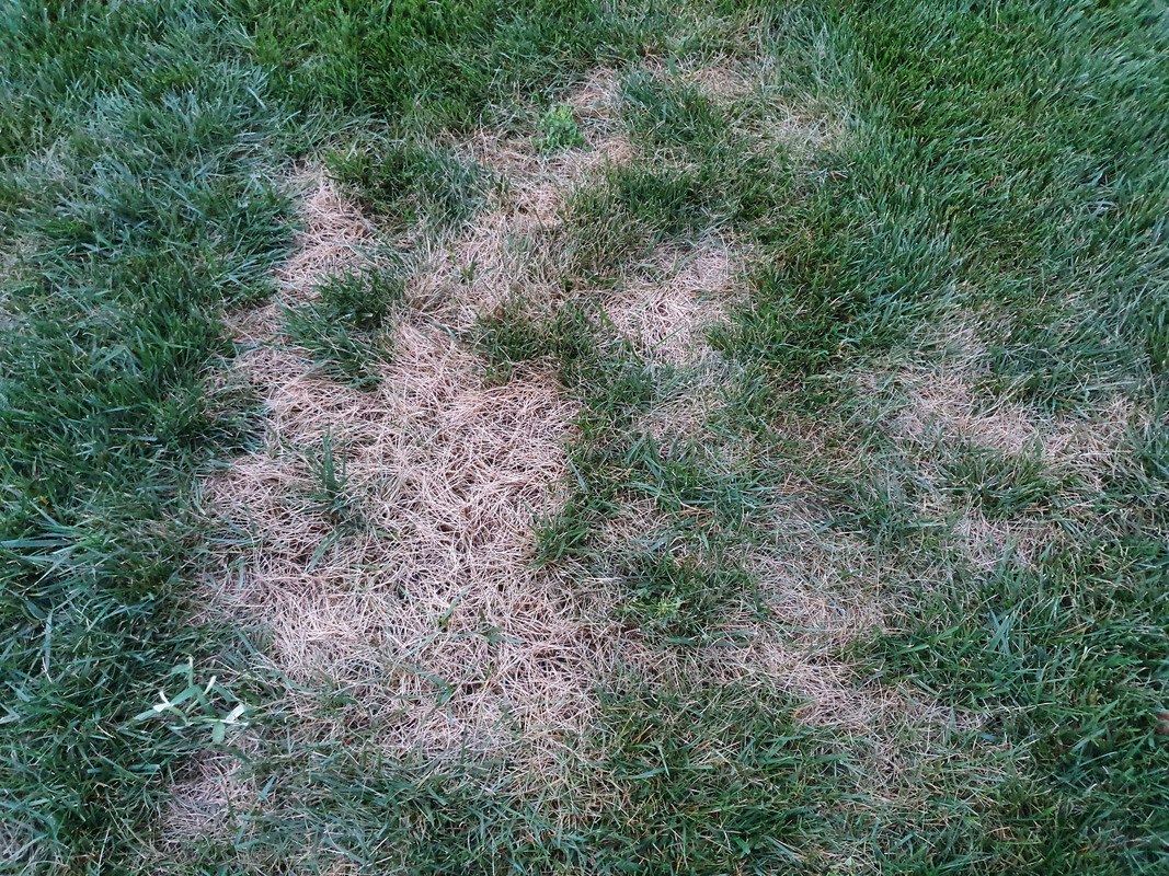 20220821 195410 — Postimages