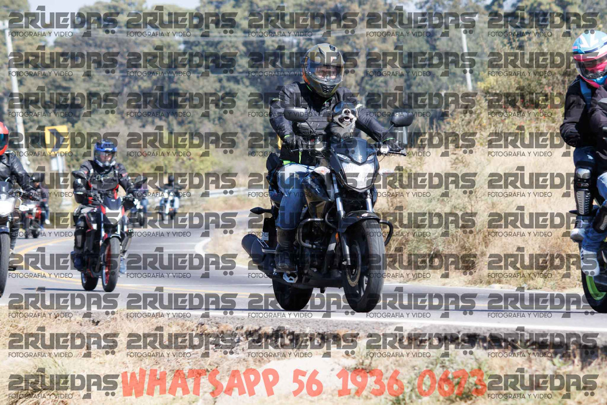 MG 84811 — Postimages