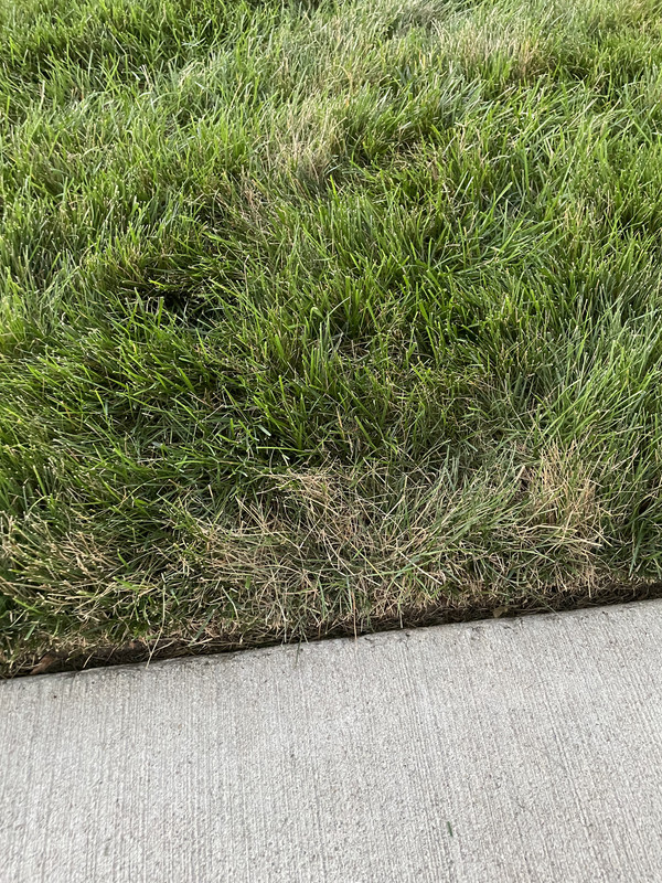 554229 DB 01 F2 41 F0 813 C F379 E42 E35 FF — Postimages