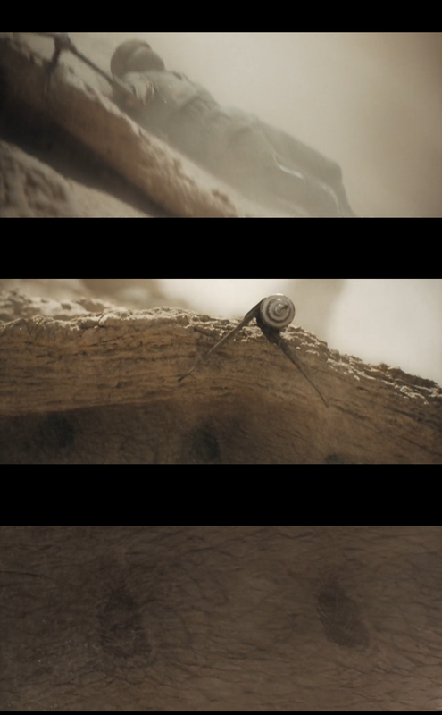 When the fremen are riding the worms is there a reason the worms stay ...