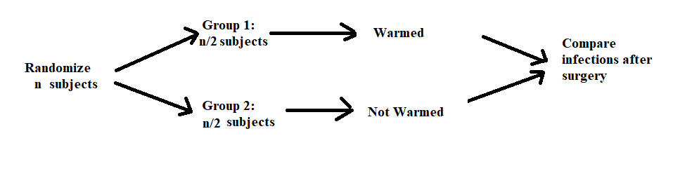 Draw a diagram to outline the design of a randomized compara | Quizlet