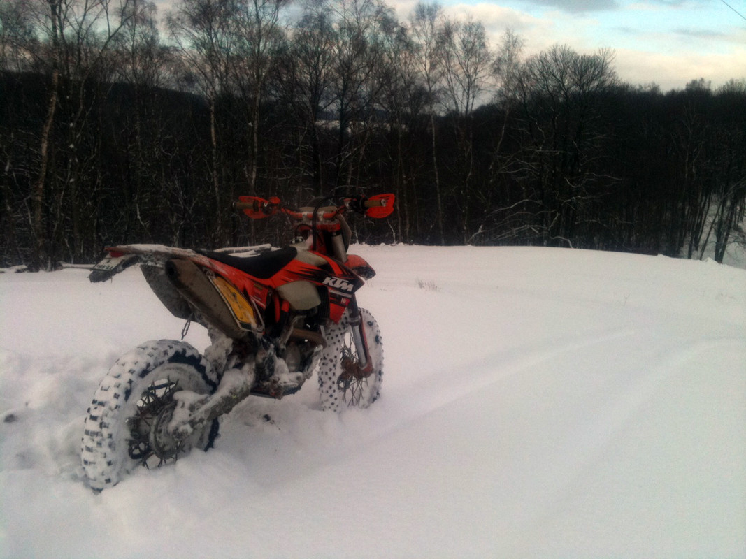 IMG 1219 — Postimages