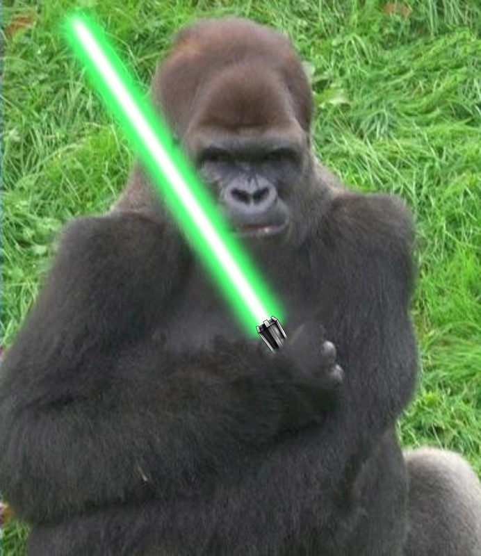 Monkey holding light saber — Postimages