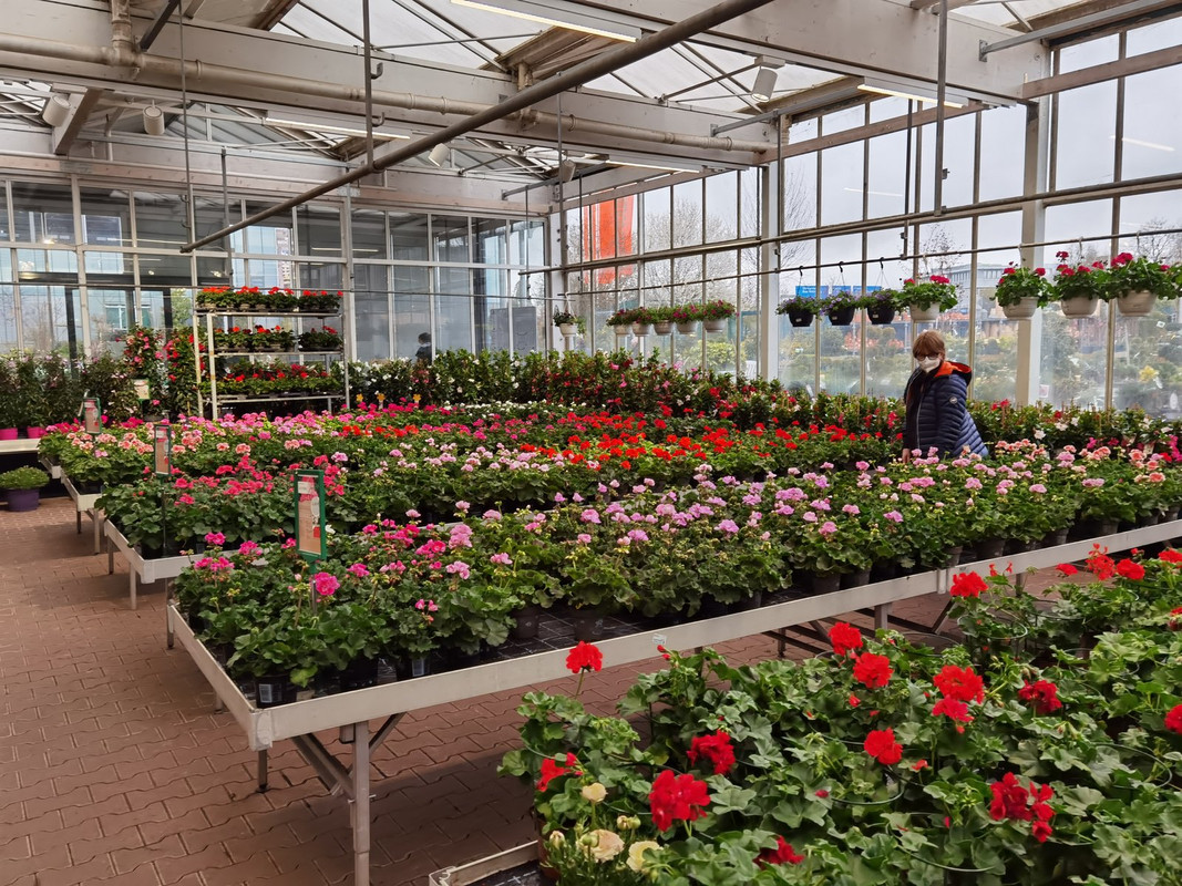 IMG 20210407 170140 — Postimages