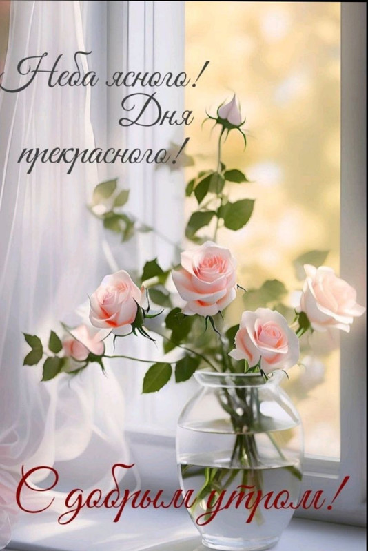 IMG 20230720 092155 457 — Postimages