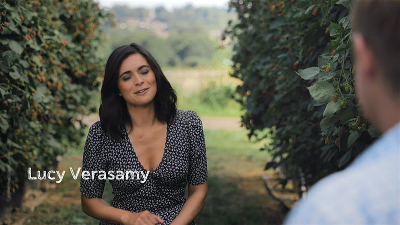 Channel 4 News 20210907 19002000 ts snapshot 00 58 02 651 — Postimages