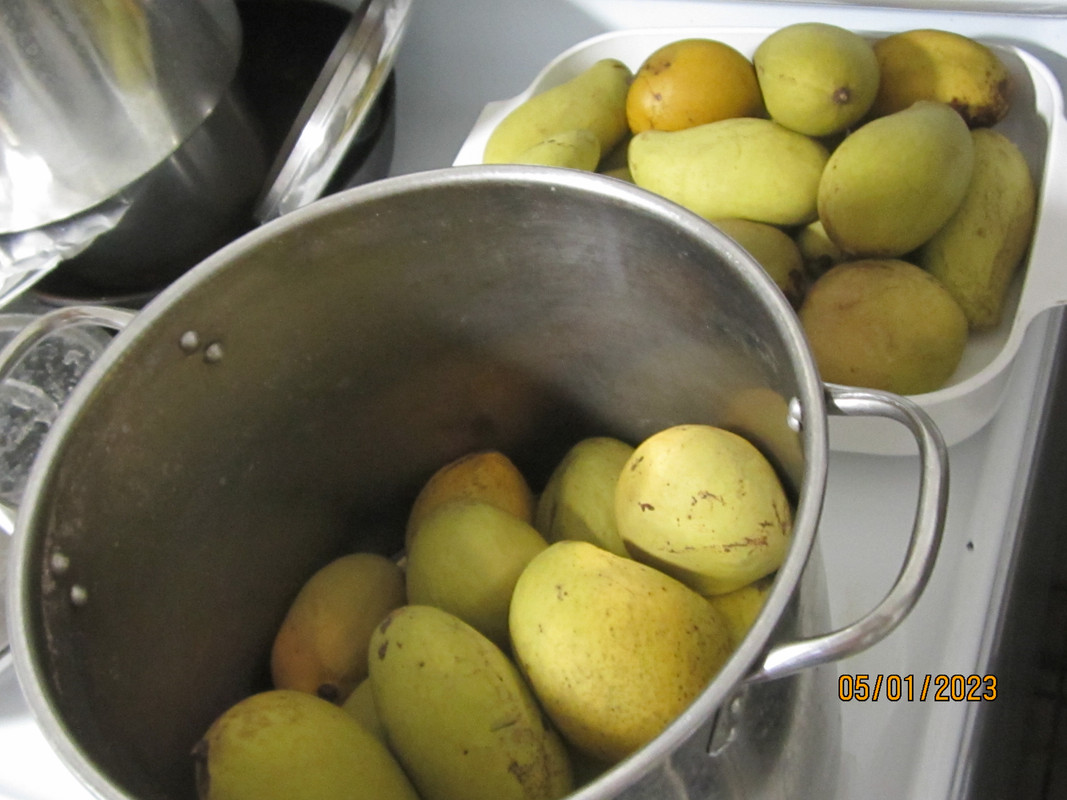 IMG 2002 — Postimages