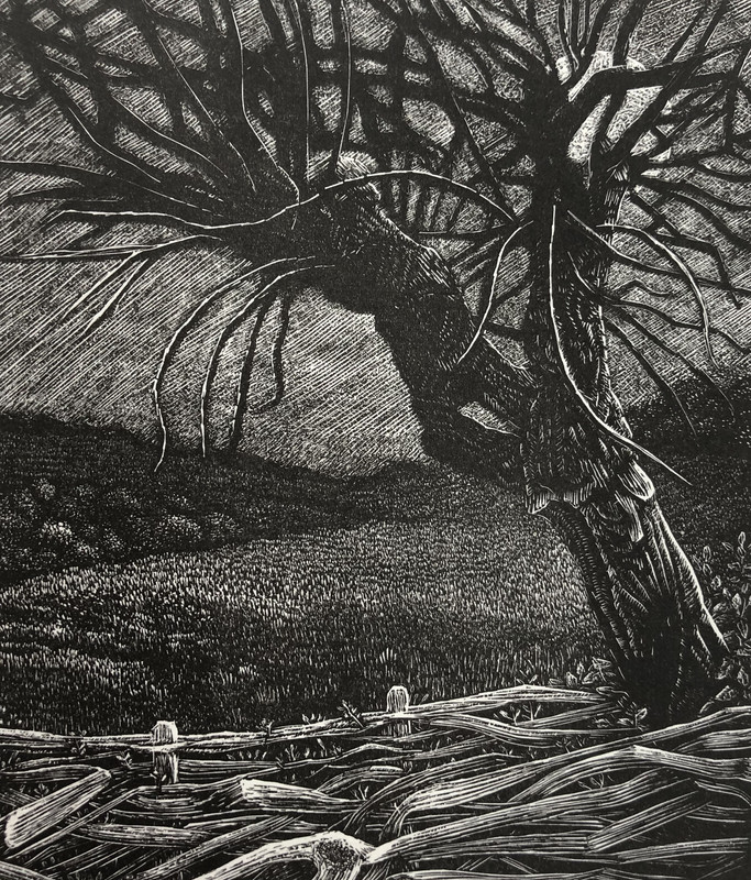 2020 Vision compiled by Nigel Hamway – NOMAD LETTERPRESS | Fine Press ...