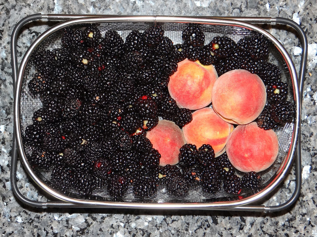 June2015 Harvest — Postimages