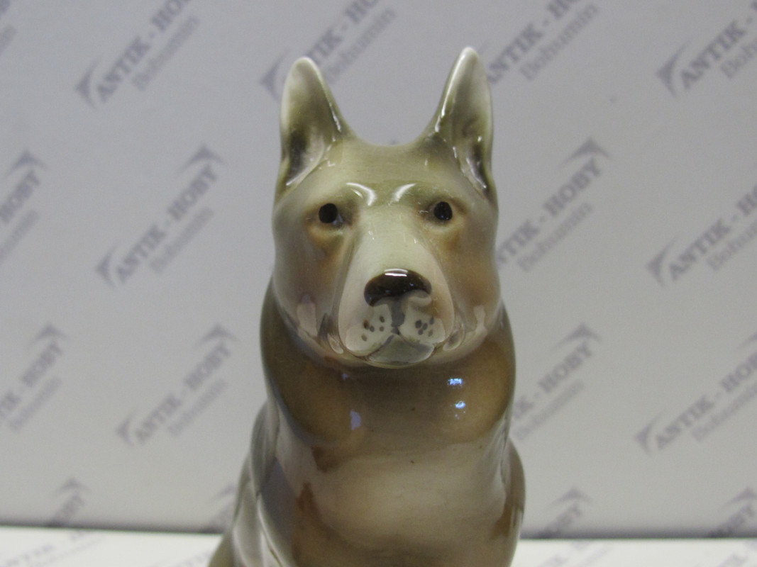 IMG 3221 — Postimages