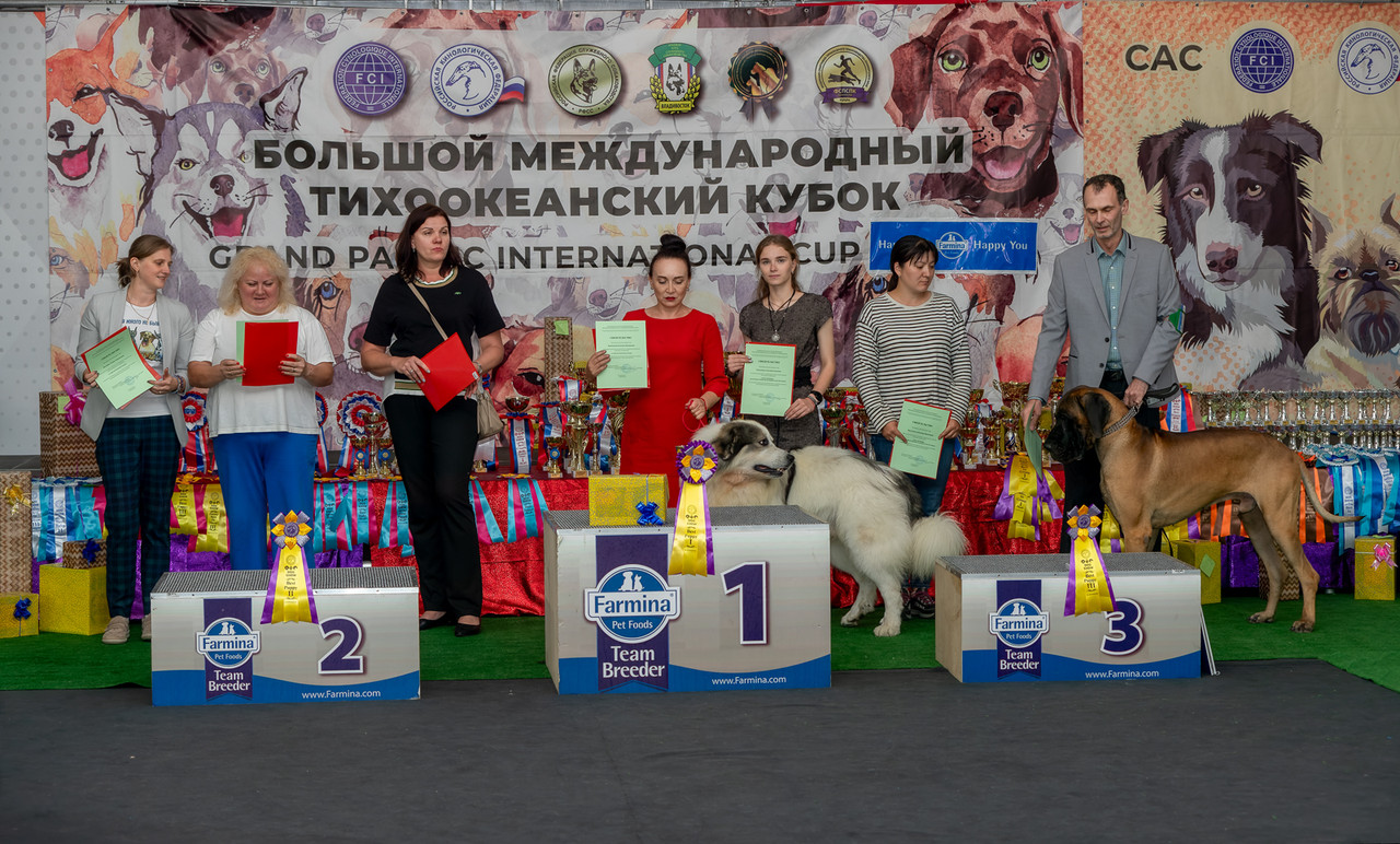 30 1196 — Postimages