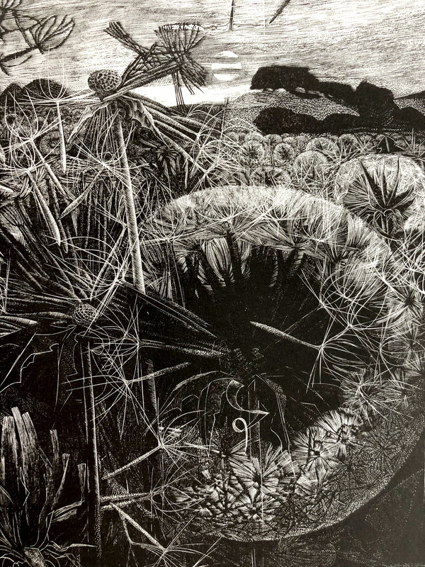 2020 Vision compiled by Nigel Hamway – NOMAD LETTERPRESS | Fine Press ...