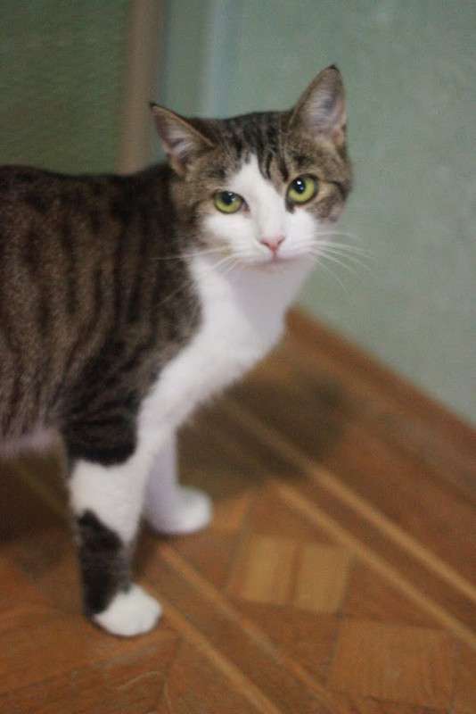 IMG 7138 — Postimages