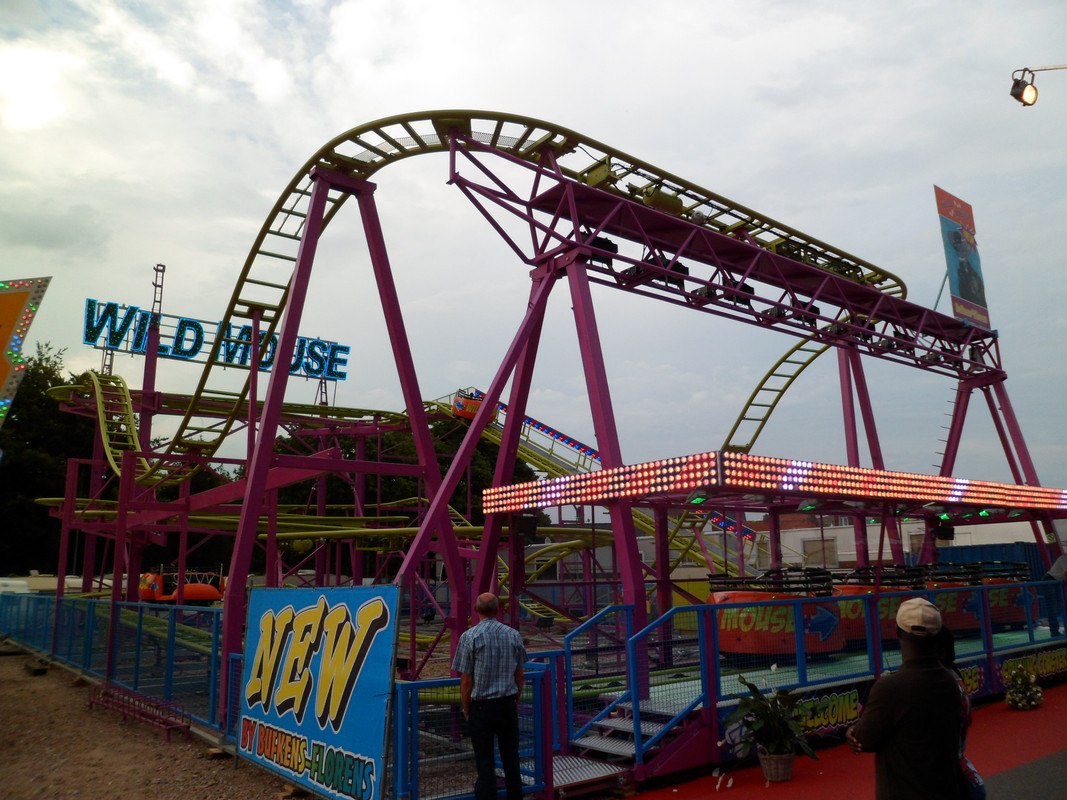 Wild mouse - Thomsons Event Group (UK/SC) - polypweb.eu
