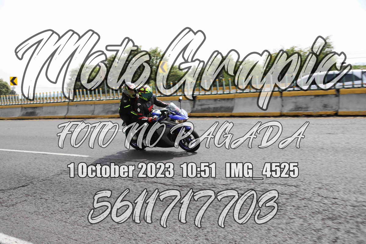 motgr IMG 4525 — Postimages