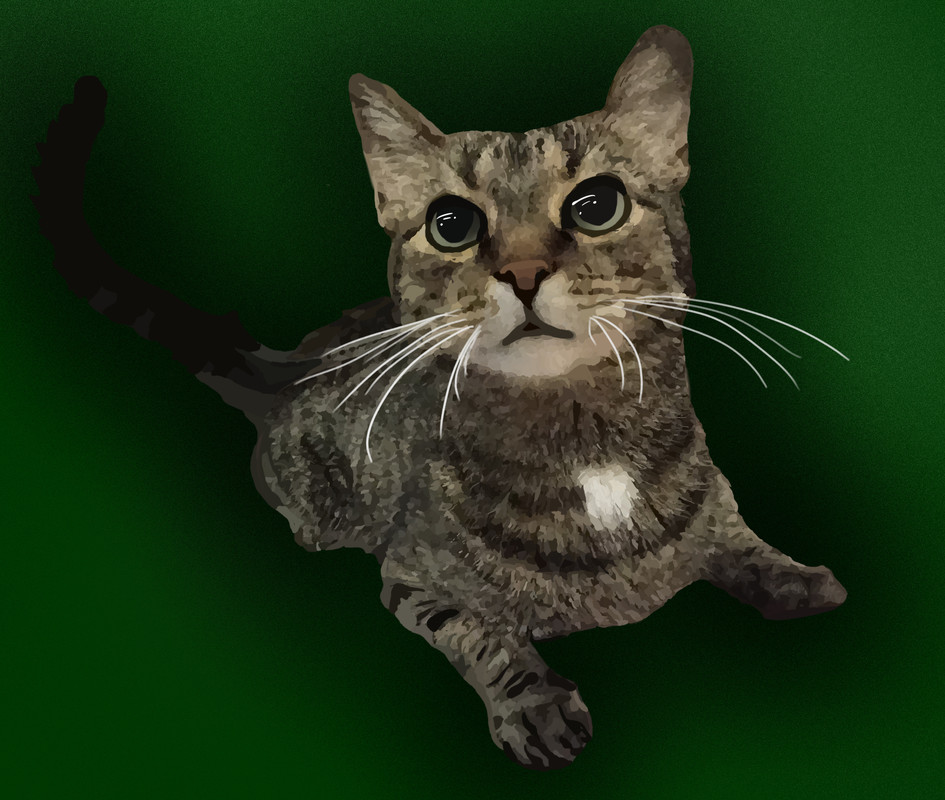 My cat — Postimages