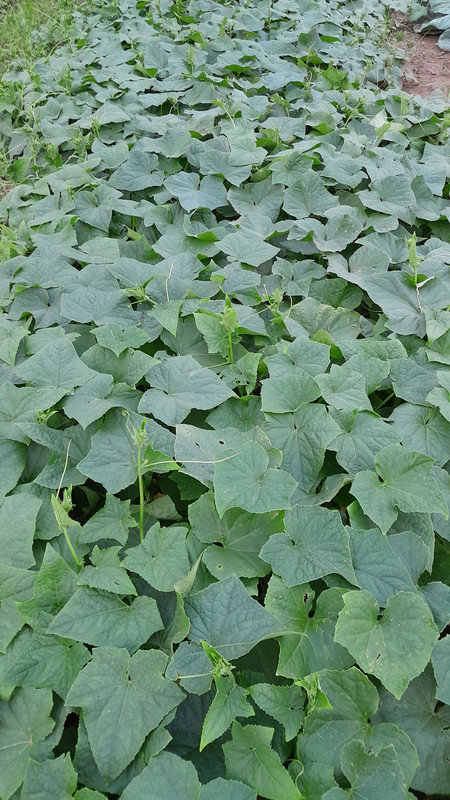 20230703 205737 — Postimages