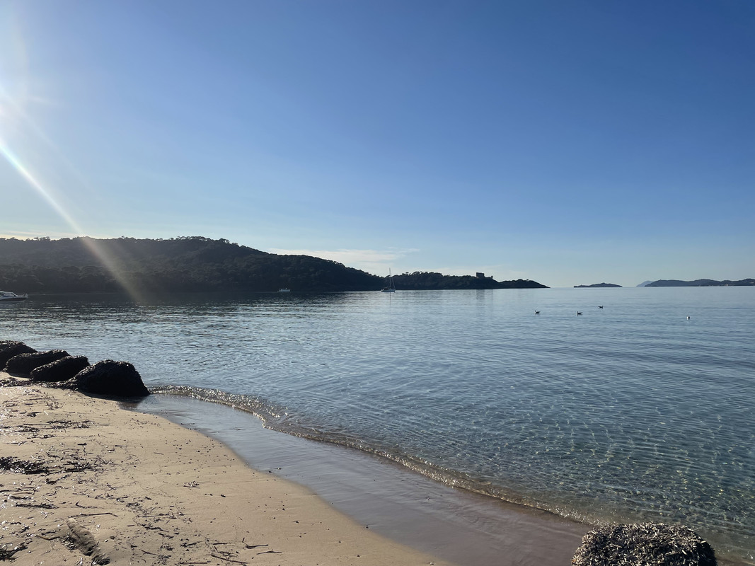 C09 C3 B6 E 0801 4 A89 99 F0 27 FA5 A0 FF980 — Postimages