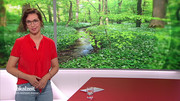 Madelaine Meier @ WDR "Lokalzeit" 18.07.2022 50X | Celebboard.net ...