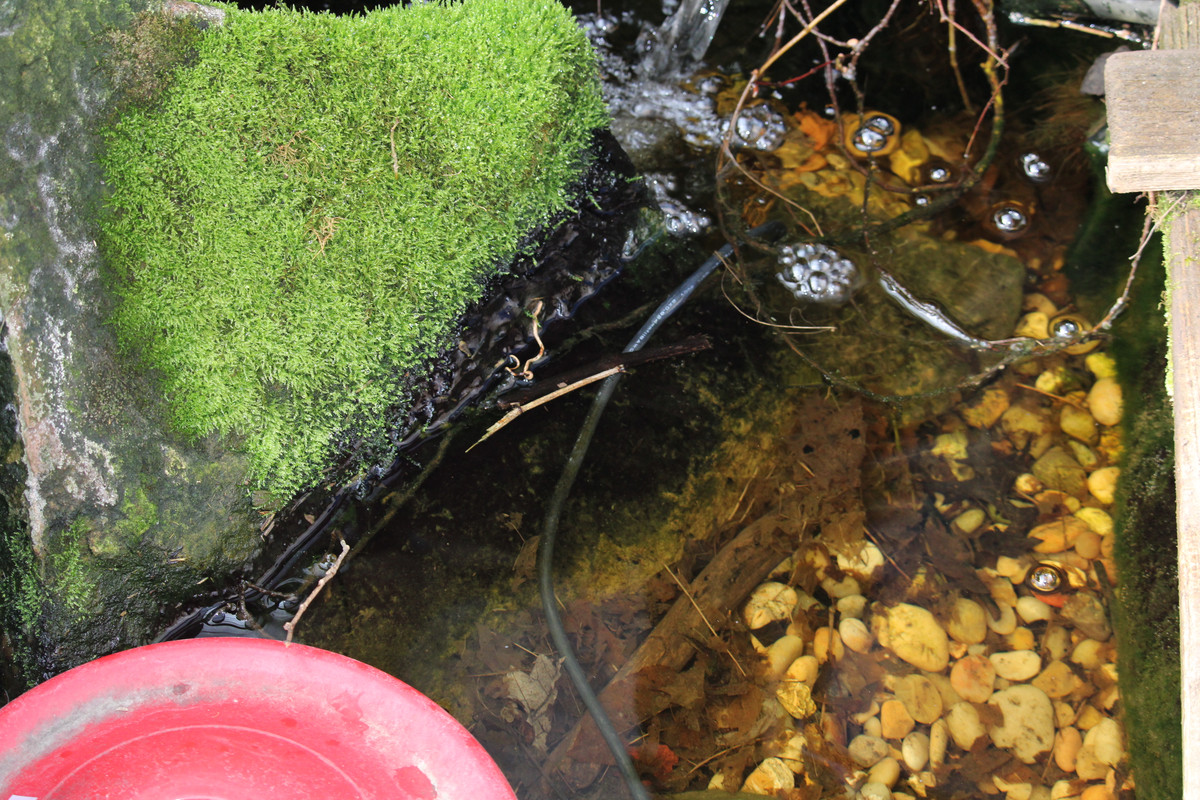 IMG 0277 — Postimages