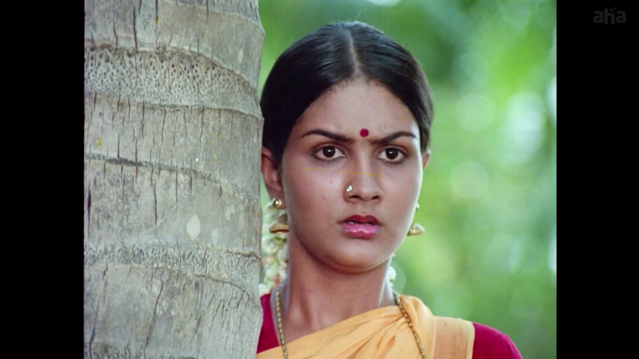 vlcsnap 2024 01 17 18h41m11s727 — Postimages