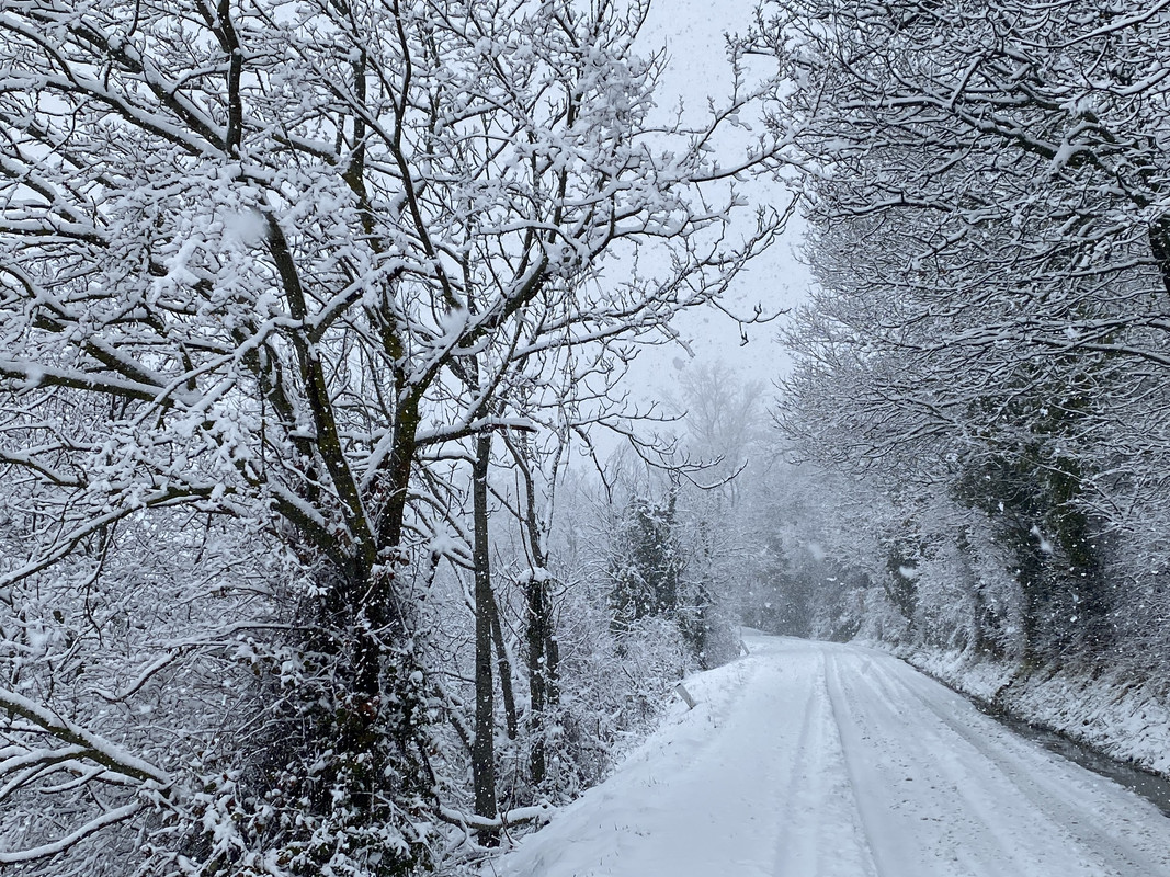 D5596765 0 A5 D 48 E5 A559 69 F104 A3368 D — Postimages