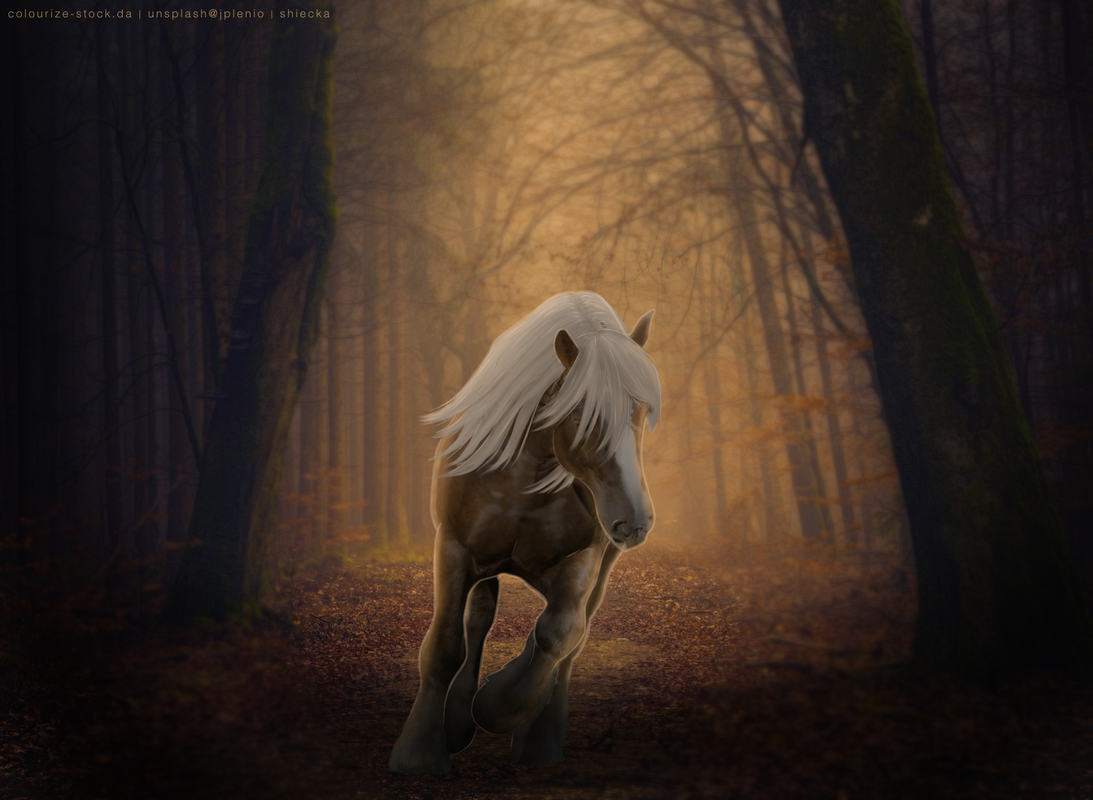 Horse Eden : 2 Peices: Autumn Draft + Pinto Forest | Closed