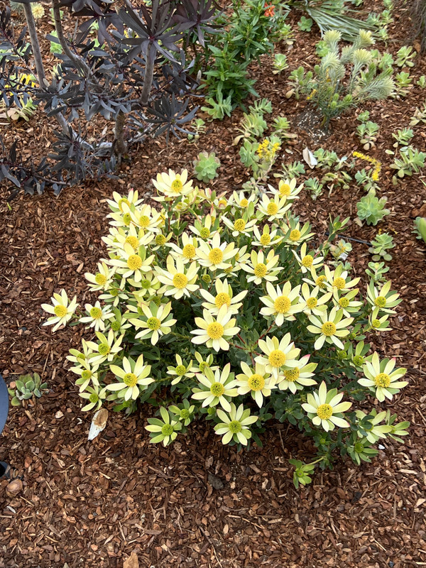 IMG 3430 — Postimages