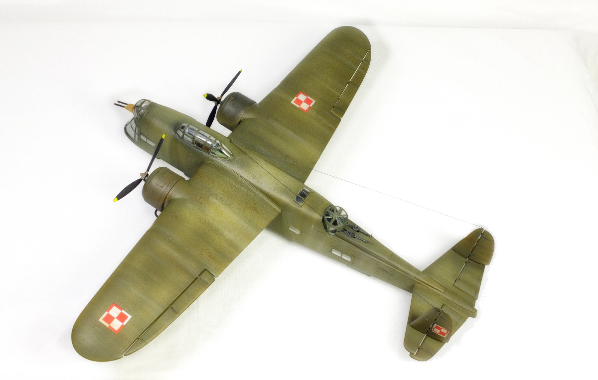 LWS-6 ZUBR - Ready for Inspection - Aircraft - Britmodeller.com