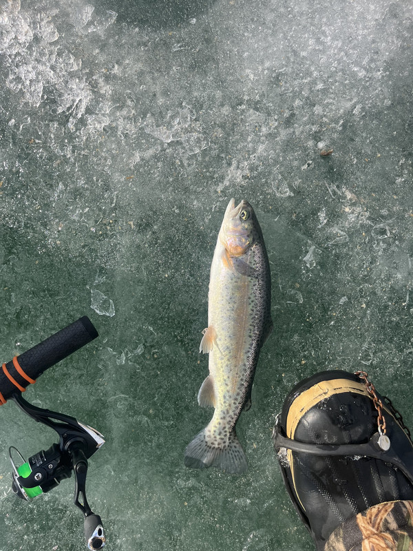 IMG 3222 — Postimages