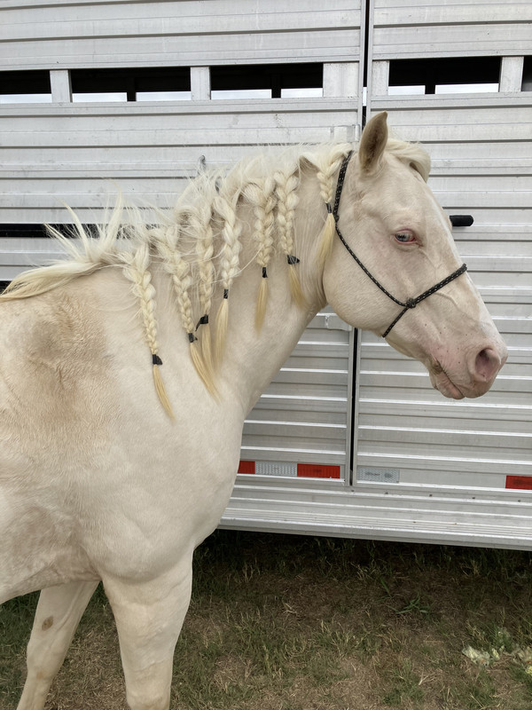 2 C4 F1 B8 D D099 478 C 909 E E95798 A64 F0 B — Postimages