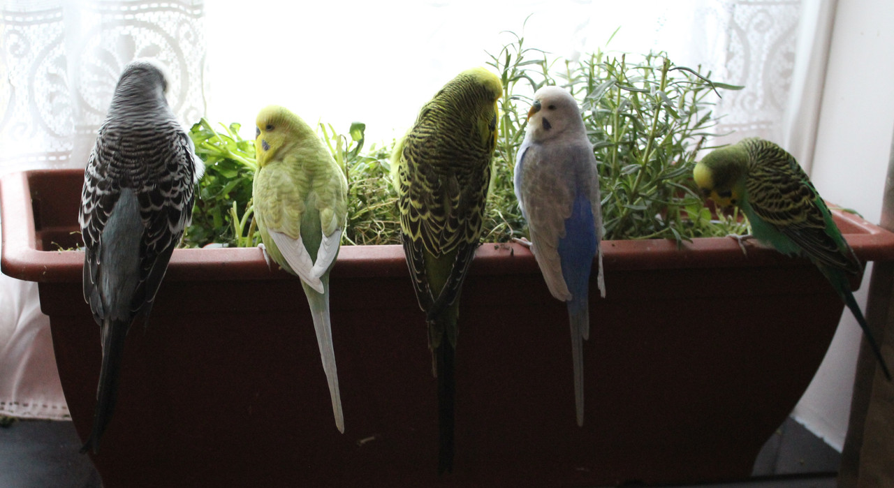 20231213105800 IMG 2104 — Postimages