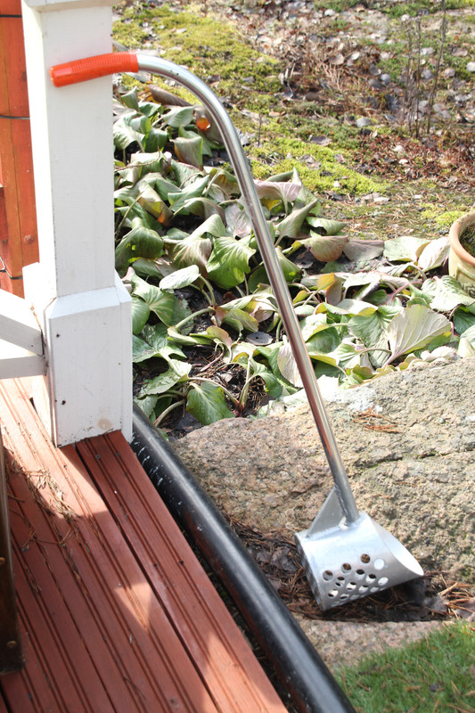 IMG 6721 — Postimages