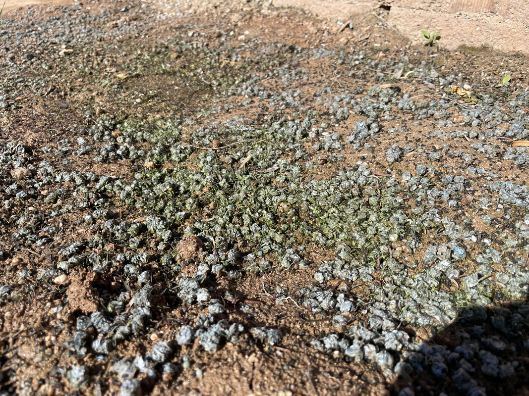 Img 2407 — Postimages