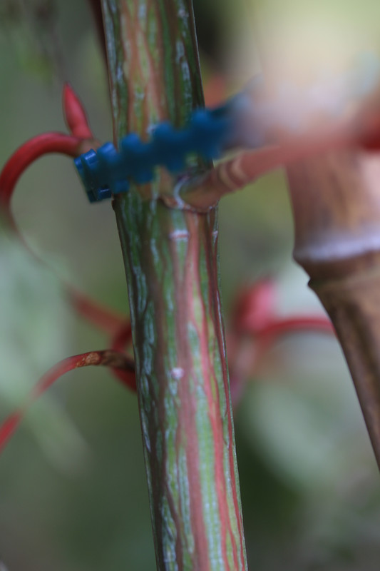 IMG 3316 — Postimages