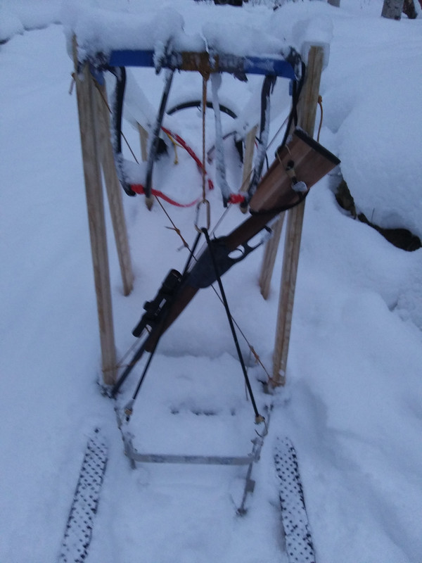 Browning 1895 Scout Rifle Project - 24hourcampfire