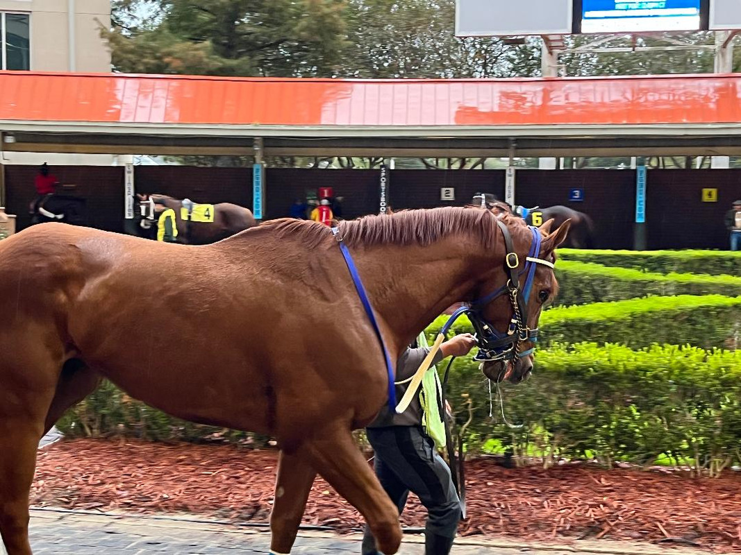 thumbnail 21 — Postimages