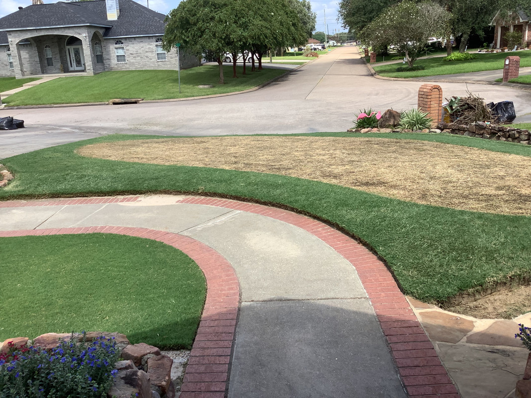 IMG 1262 — Postimages