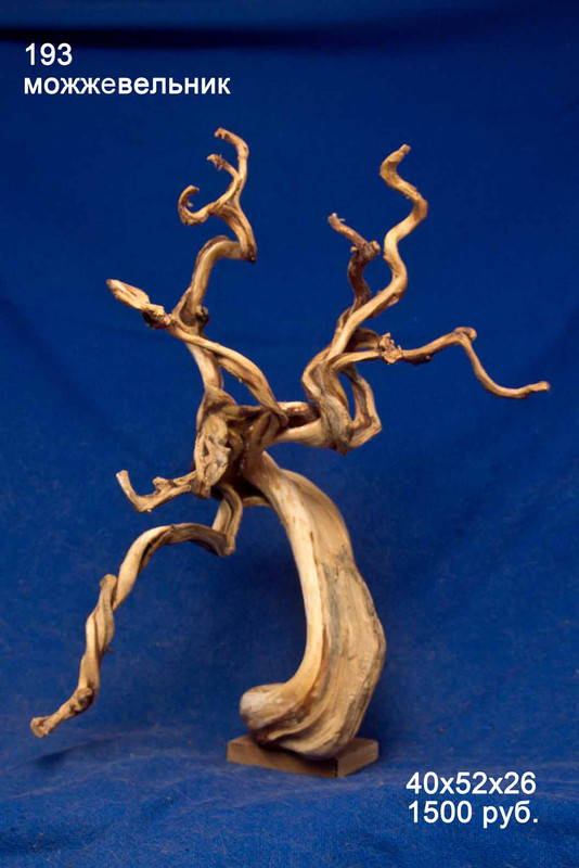 IMG 5430 — Postimages