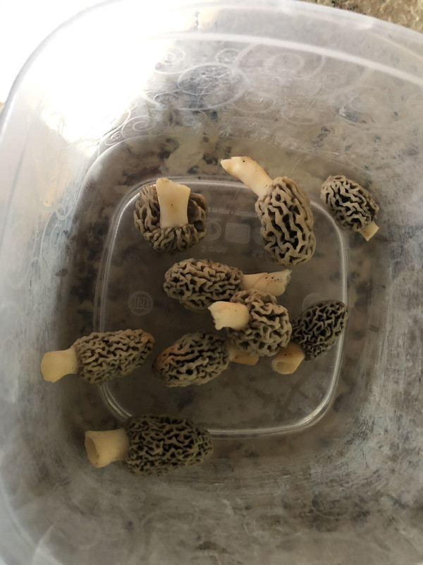 3 C1 A2384 3 CEF 4 EF3 B16 F 509 B853 D832 C — Postimages