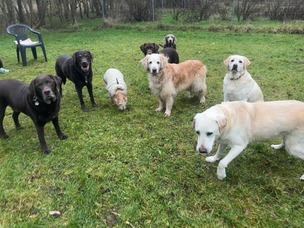 1735752630443 — Postimages