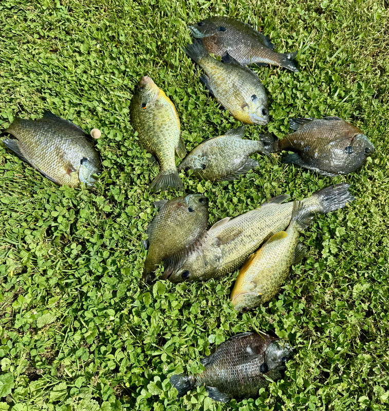 IMG 7487 — Postimages