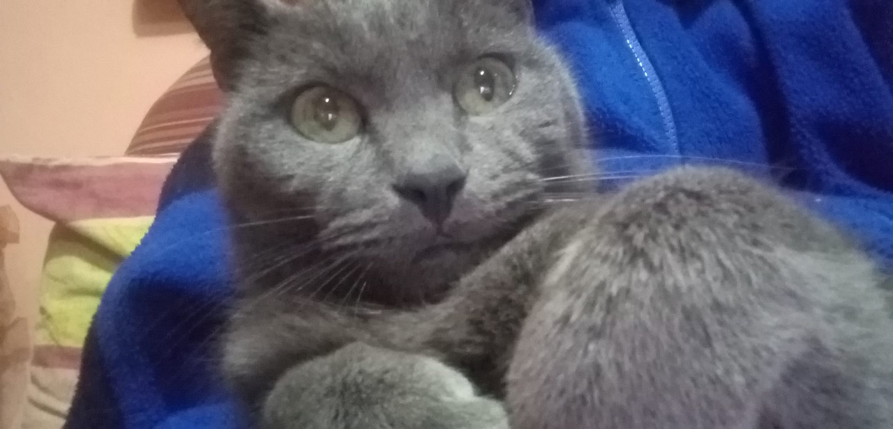 IMG 20230107 WA0001 — Postimages